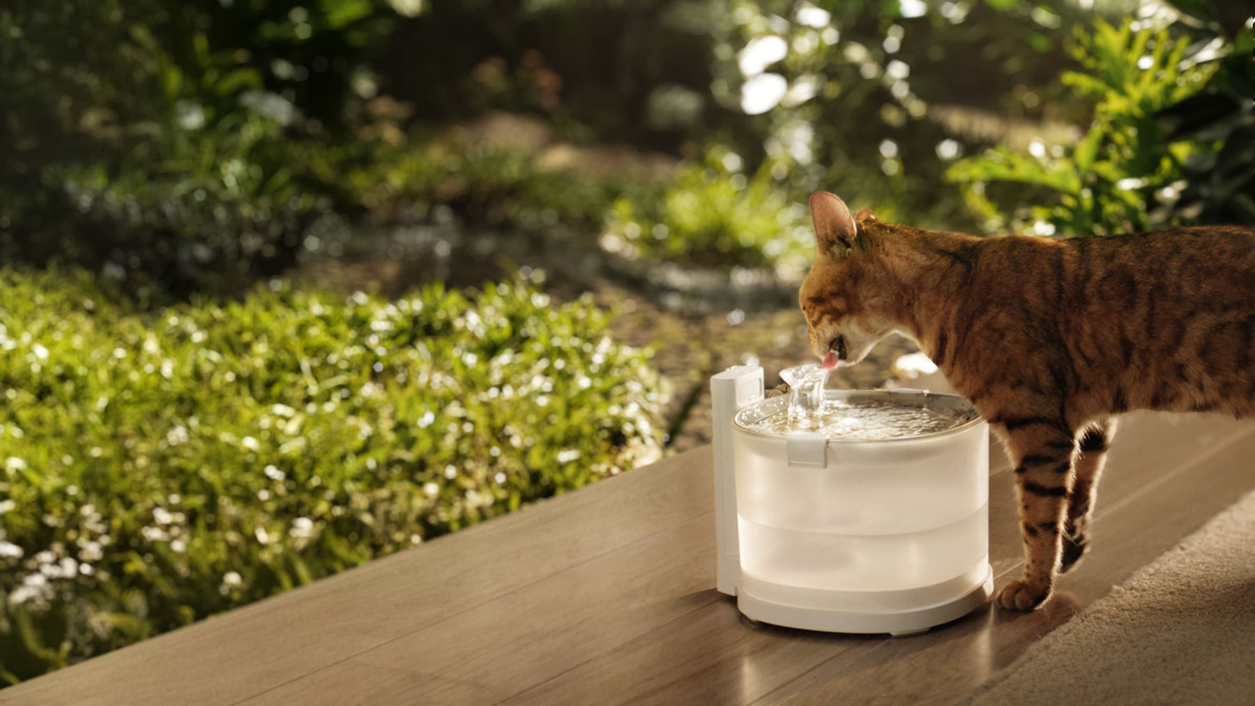 Elfin Fountain | Where Nature Flows